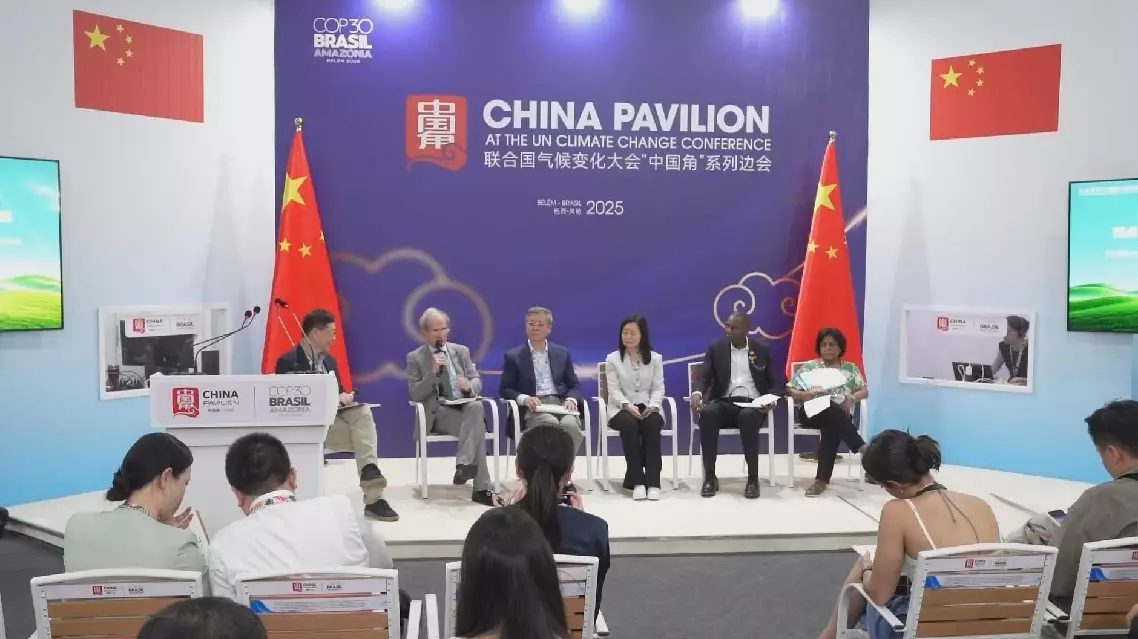 COP30 delegates hail China's role in global green transition, climate ...