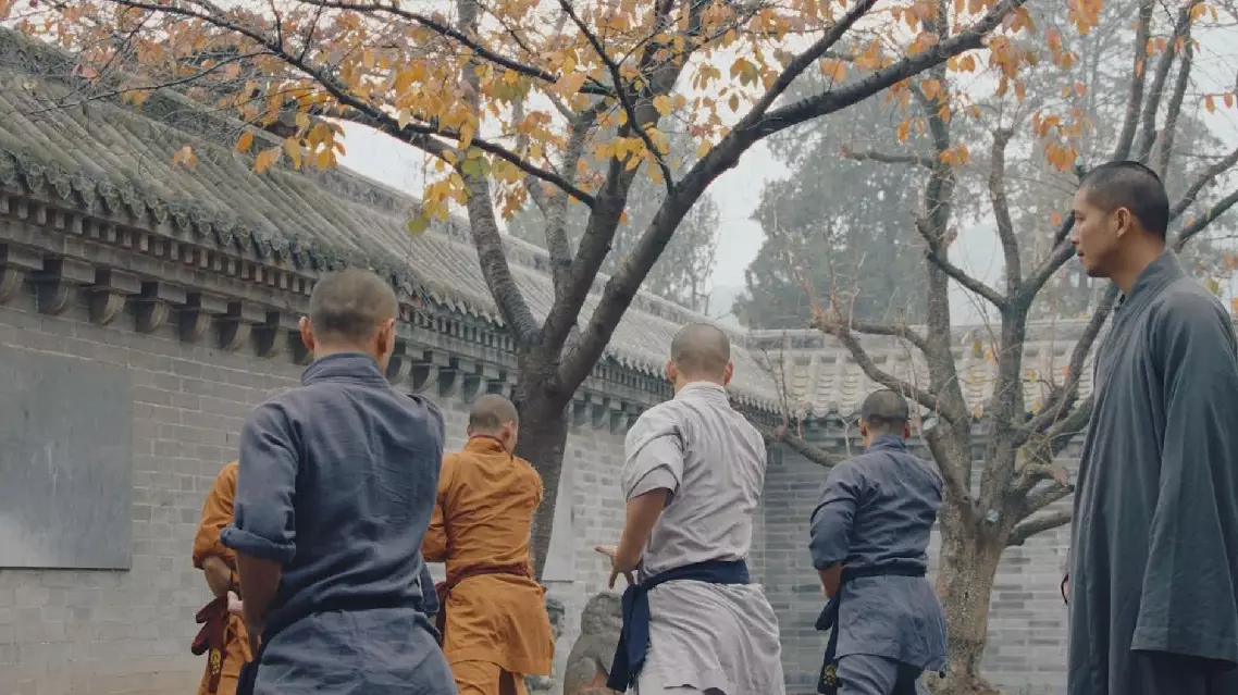 Shaolin master unlocks ancient wisdom of Chinese kung fu