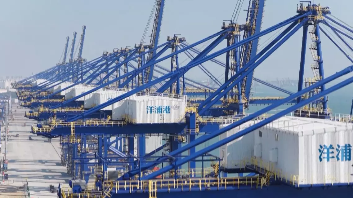 China's Yangpu Port beats annual targets as container throughput jumps ...