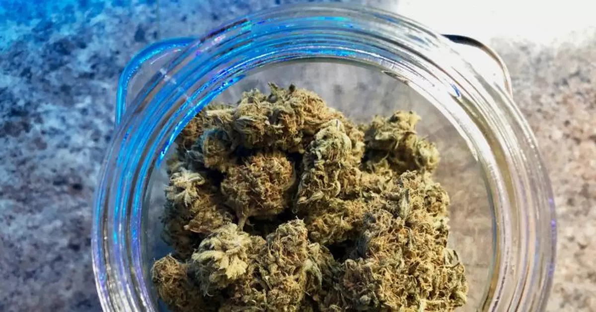 Legal pot growers frustrated by illegal operations in Oregon