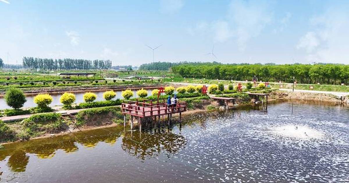 ASTRI's New Presence in Shenzhen Drives "New Quality Productive Forces ...