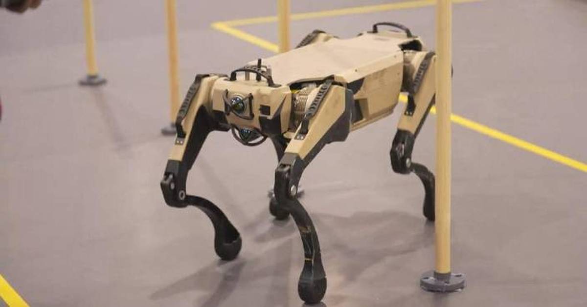 Biomimetic robot contest final opens in Beijing to test cutting-edge ...