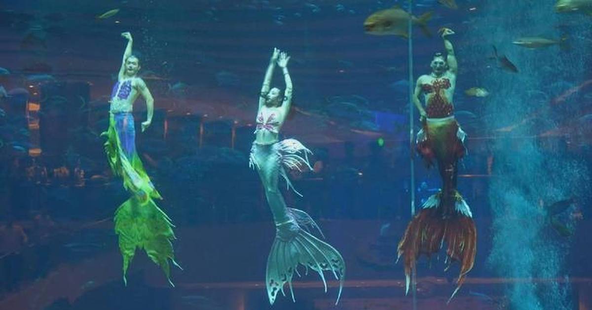 Mermaid performers make splash at inaugural Asian Cup in Hainan