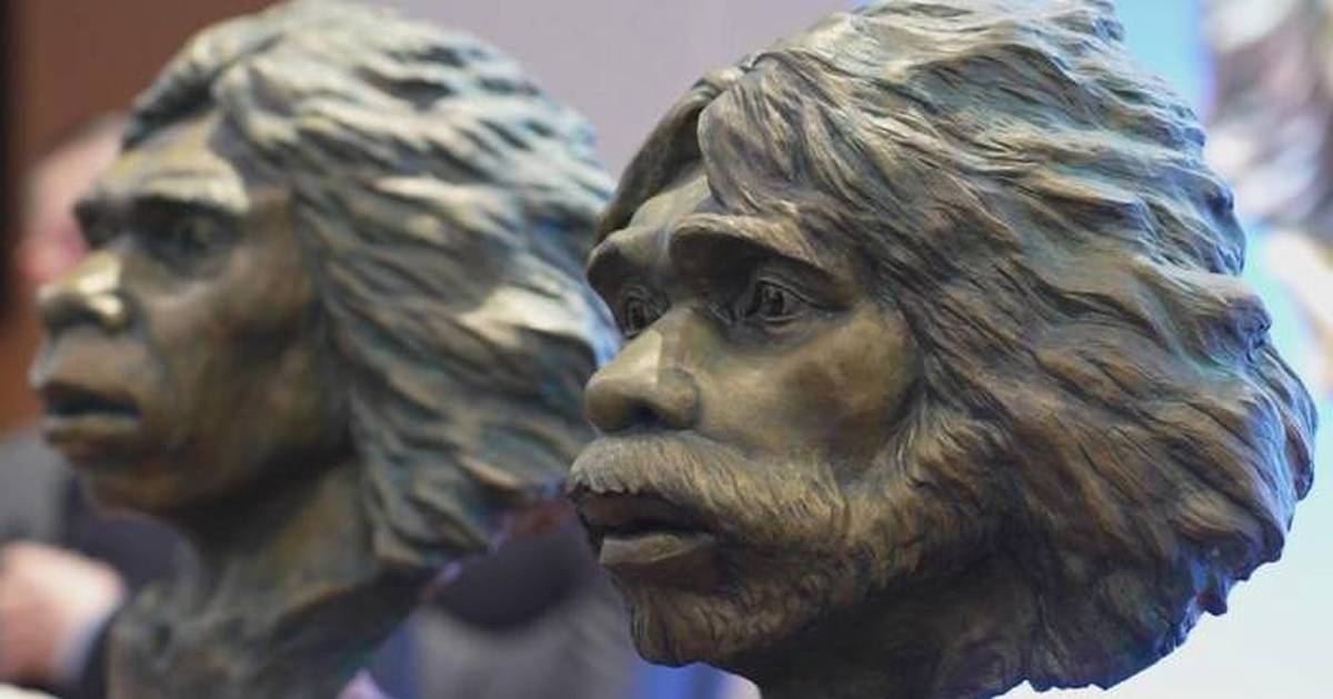 China unveils facial reconstruction of million-year-old human fossils
