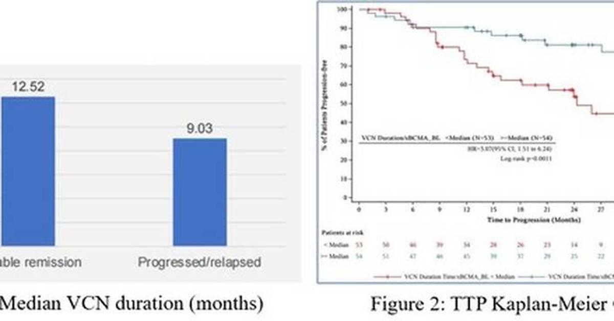 IASO Bio Presented Study Findings on the Impact of CAR T-Cell ...