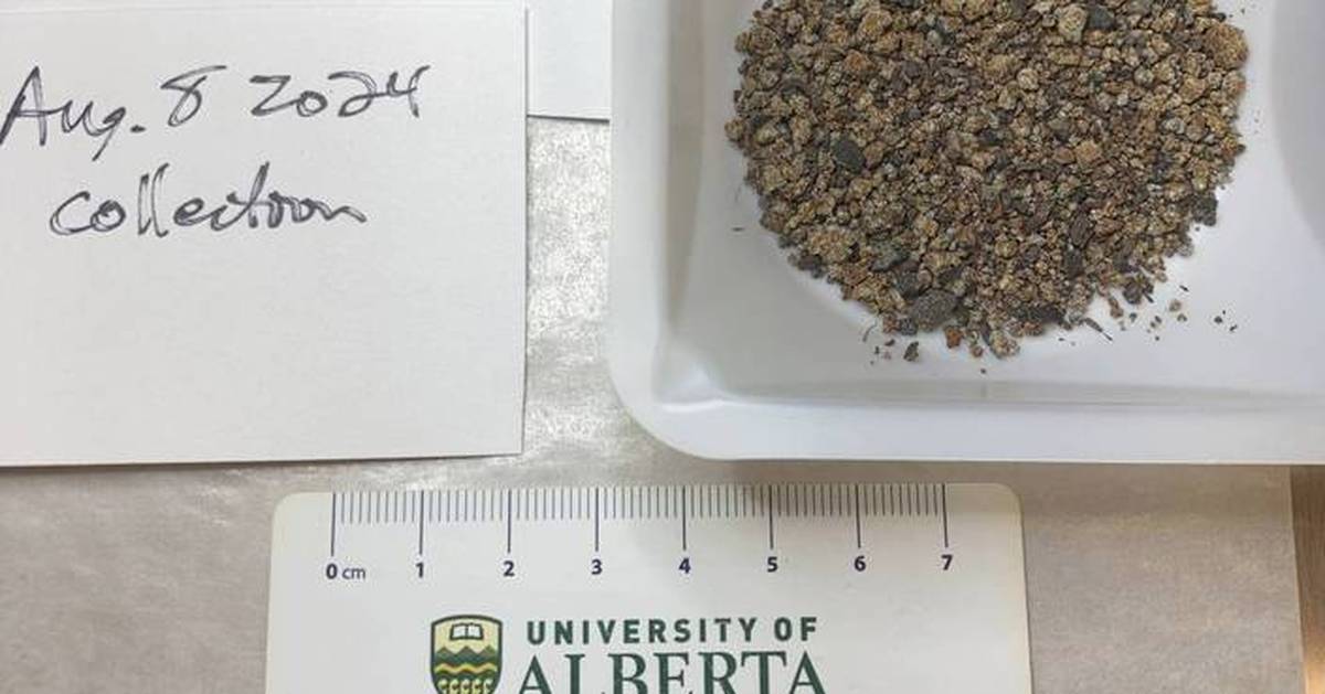 A meteorite strike was captured on video by a Canadian home's doorbell ...