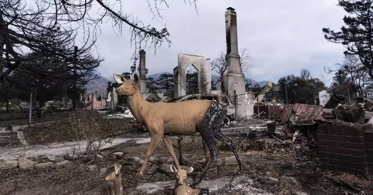 PHOTO COLLECTION: California Wildfires Aftermath