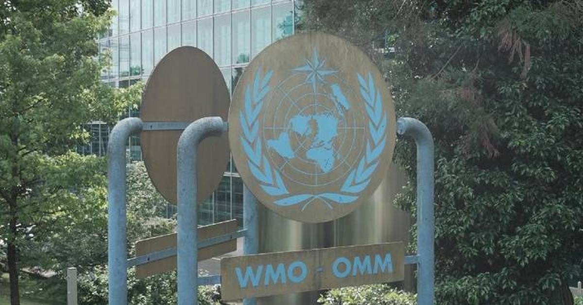 2024 confirmed as warmest year on record: WMO report