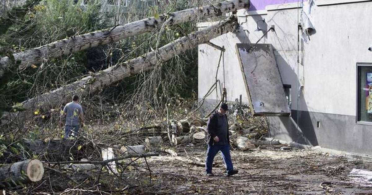 FEMA denies Washington state disaster relief from bomb cyclone ...
