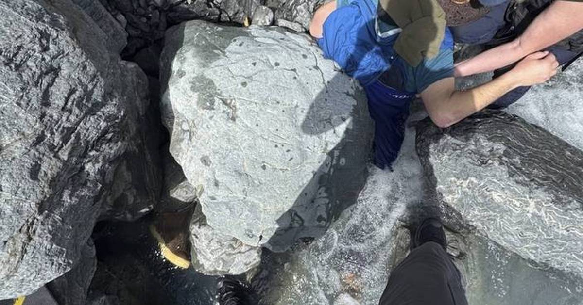 A 700-pound boulder pins Alaska man face-down in a glacier creek for ...