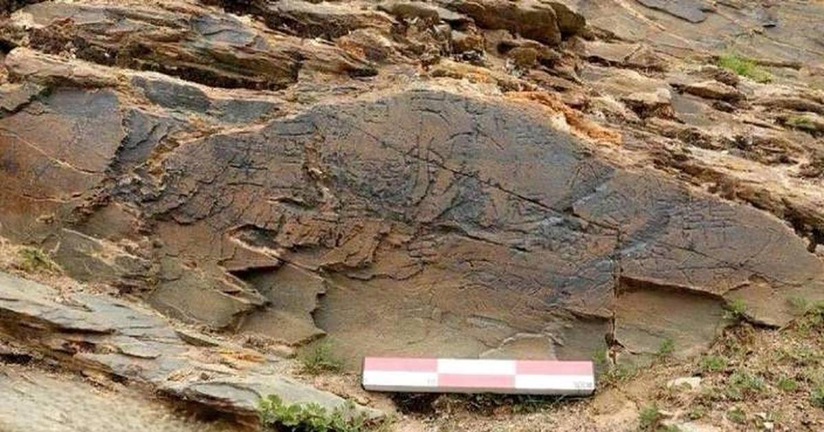 China confirms authenticity of Qin Dynasty engraved stone