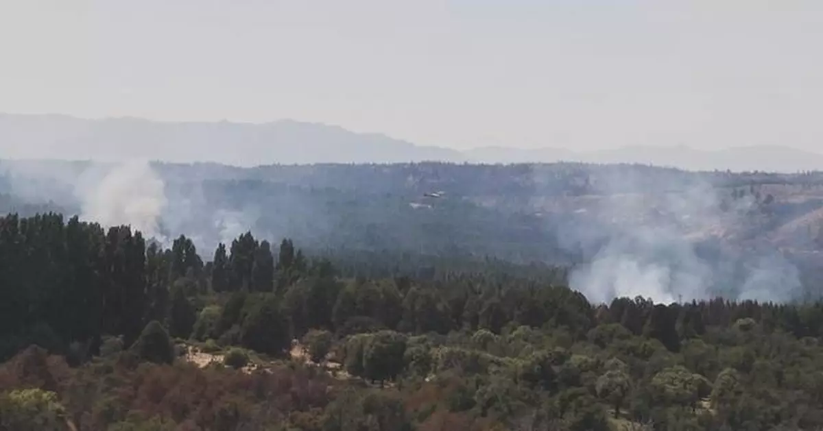 Wildfires ravage in Patagonia, destroy forests in Argentina
