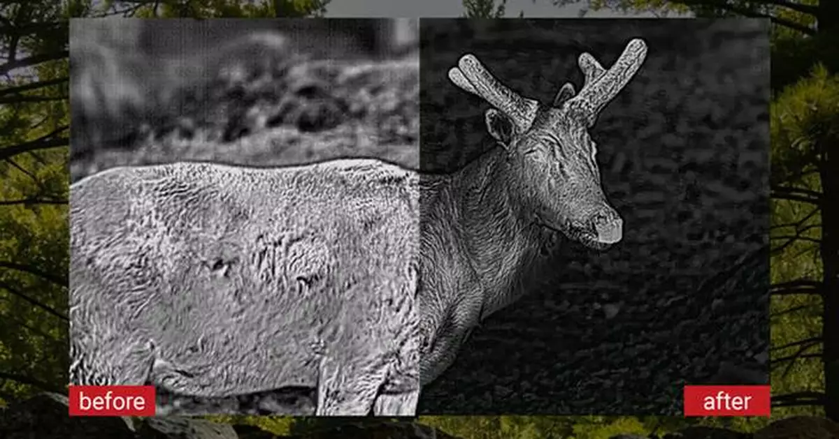 ApexVision Debuts at CES 2026: Guide Sensmart Ushers in the Ultra ...