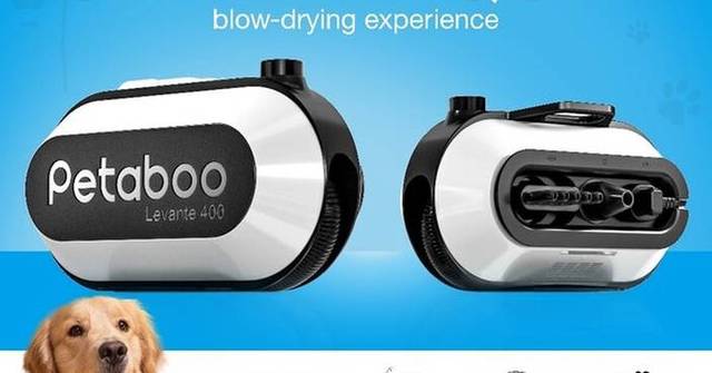 Petaboo The Quietest 40 dB Pet Blow Dryer Officially Launches in the U ...