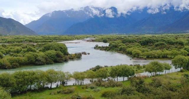 Xizang achieves increase in afforested area, standing timber volume in ...