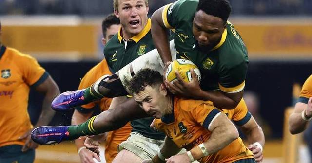 South Africa vs Australia Rugby Championship 2024 highlights, scores ...