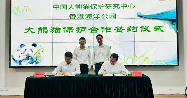 Hong Kong to Receive Giant Pandas from Central Government Following ...