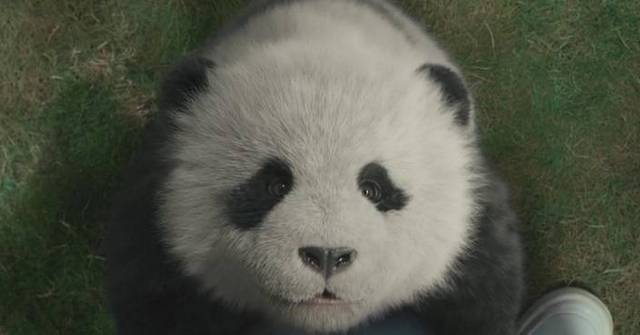 Starring in panda-themed action comedy, Jackie Chan shares personal ...