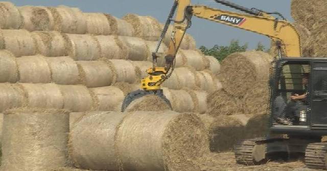 Chinese farmers turn straw waste into wealth through innovative ...
