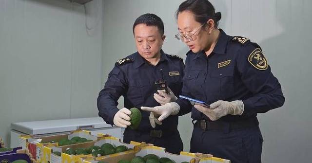 Customs streamline clearance process for CIIE