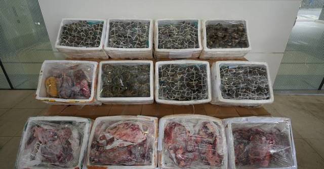 Hong Kong Customs Seizes $200,000 in Smuggled Food During Operation Ice ...