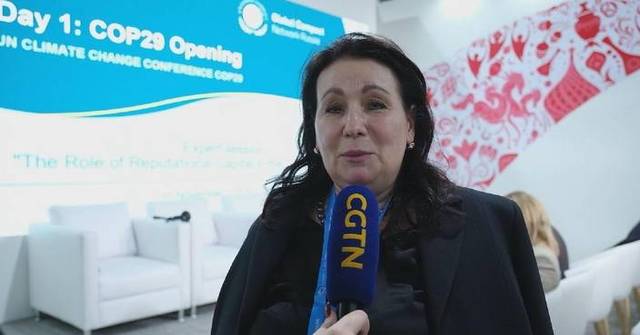 COP29 participants praise China's cooperative approach to combating ...