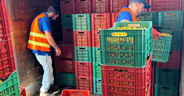 Hunger Fighters: NatureSweet Donates More than Three Million Pounds of ...