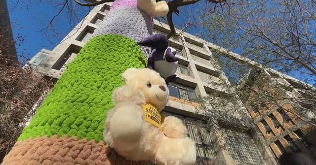 Trees dressed in "sweaters" breathe artistic vibes into China's winter ...