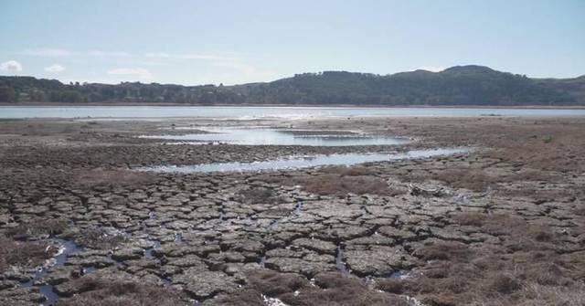 Persisting drought deals heavy blow to Sicily's agriculture