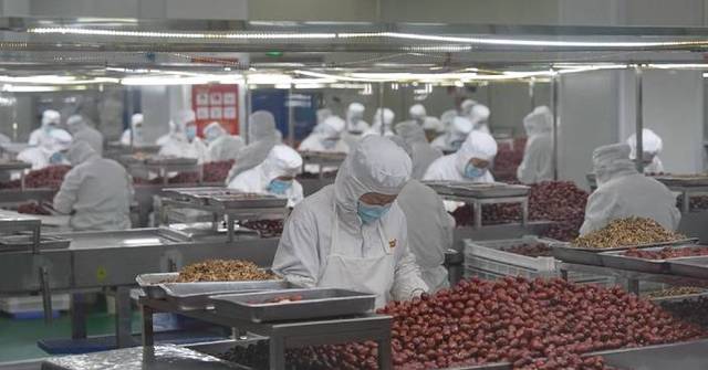 Food factories in China's Henan seek industrial upgrading to serve ...