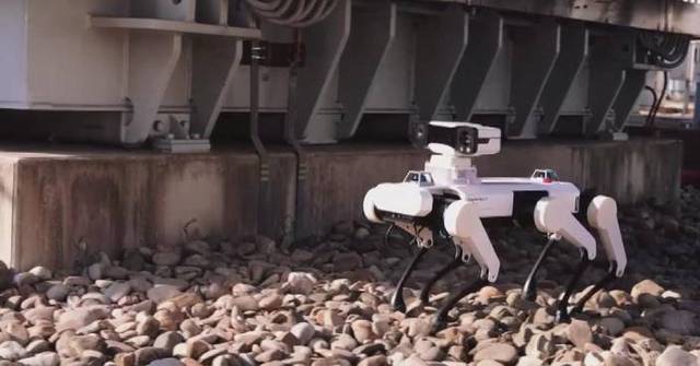 Chinese robot dogs takes on diverse roles with advanced AI