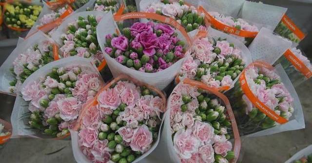 China's Yunnan emerges as key player in global flower trade