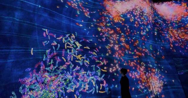 A teamLab Planets TOKYO bemutatja az újonnan kibővített terület egészét ...