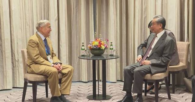 Chinese FM meets with Harvard professor Allison in Germany's Munich