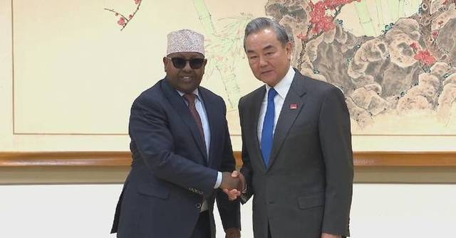 Chinese, Somali FMs meet on bilateral ties