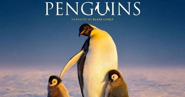 National Geographic Releases New Trailer for SECRETS OF THE PENGUINS ...