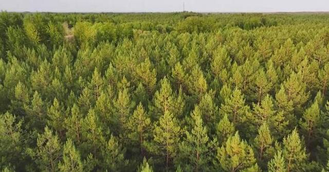 Spokesman on CPPCC work in building Beautiful China