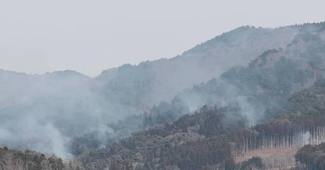 Number of evacuees keeps rising amid raging forest fire in Japan