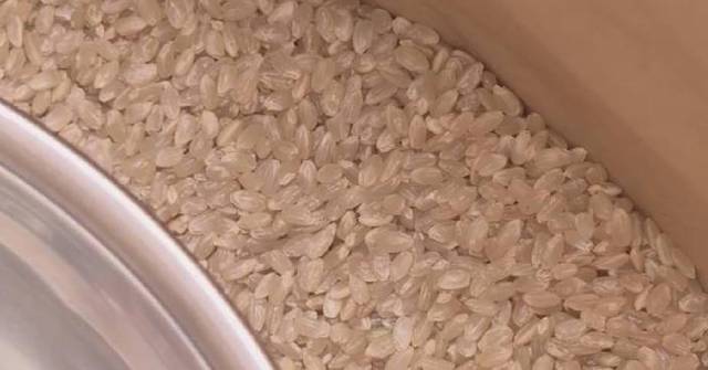 Reserve rice release may only temporarily solve price crisis: Japanese ...