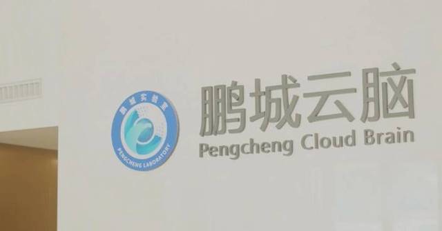 Open-source AI to transform China's innovation landscape: expert