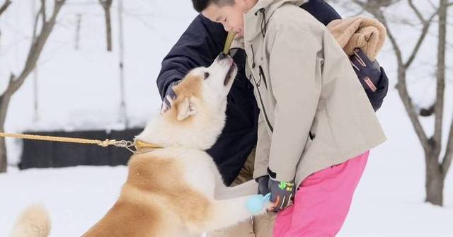 AKITA Geo Tour & Yuzawa Royal Hotel Combine to Offer a Snow Country ...