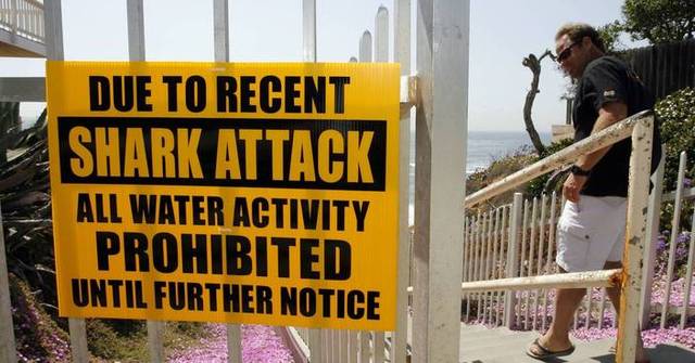 Shark attack survivor presses her state for an alert system to keep ...
