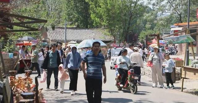 Shandong county revitalized through partnership in diversified industries