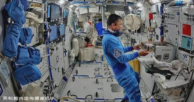 First experiment on planarian regeneration conducted at China's space station