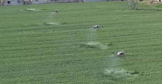 Chinese farms use drones, advanced farm machinery to manage grain ...