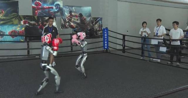 Humanoid robots prepare for fighting competition in China's Hangzhou