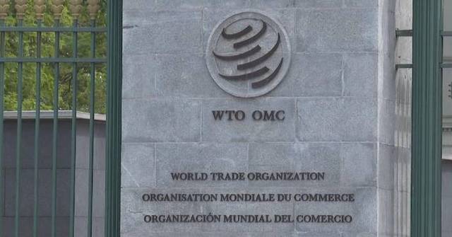 WTO members criticize US tariffs, urge stronger multilateral trade system