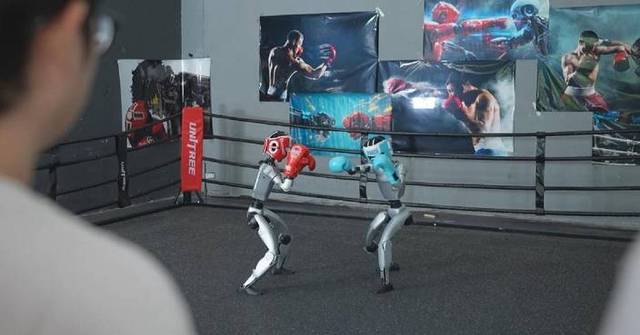 Humanoid robots boxing contest touchstone for future roles: testers