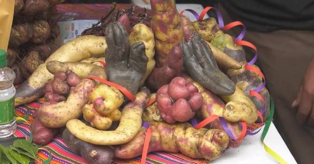 International potato day celebrated in Peru with festivities, trade