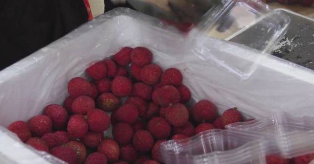 China launches high-speed 'Lychee Express' to boost fruit transportation